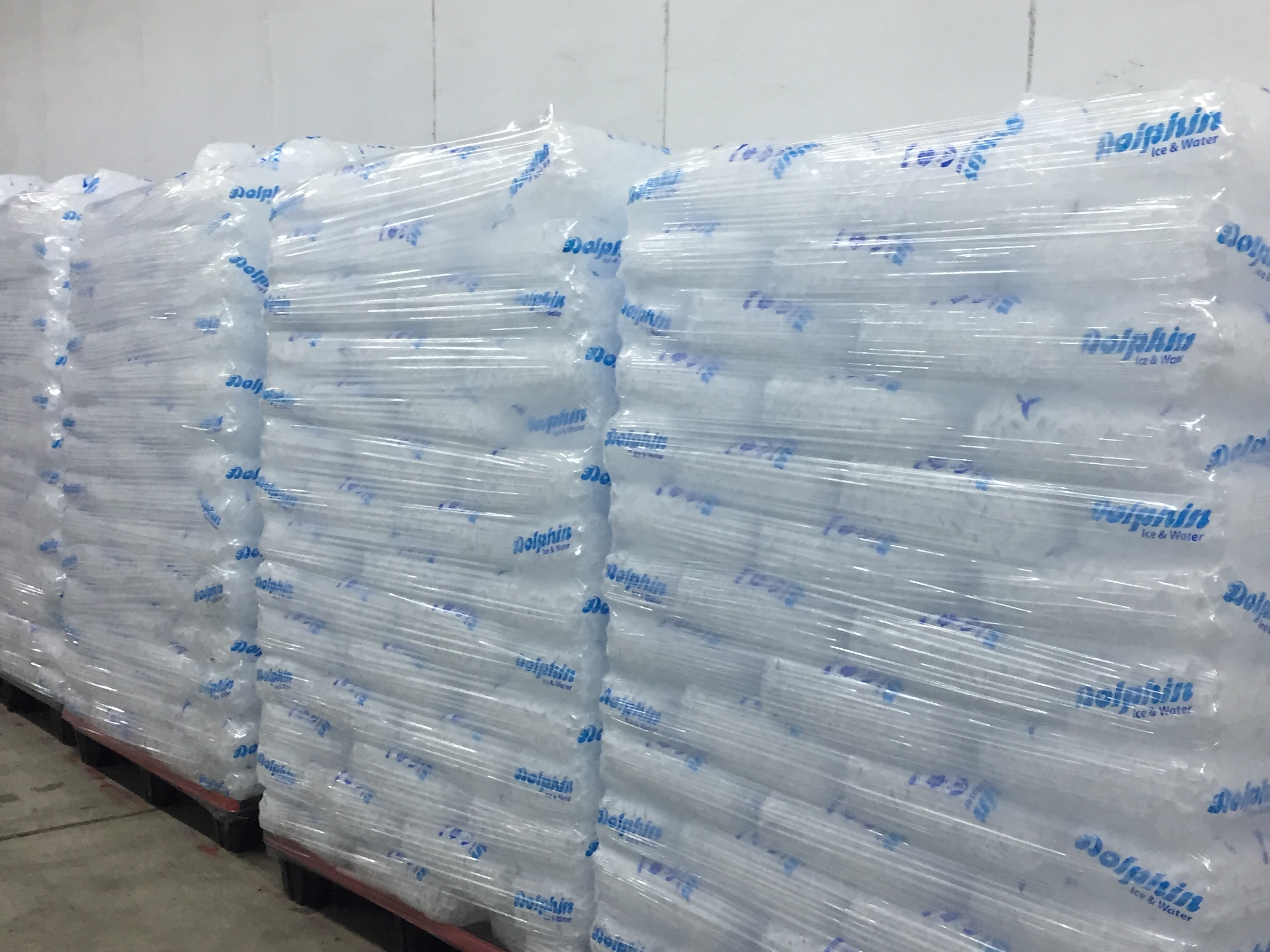 Dolphin Ice | We So Icee...